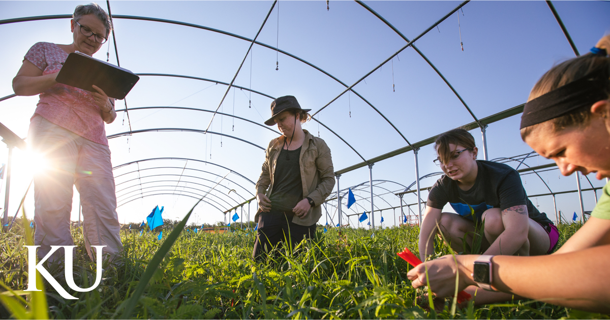 Explore KU Graduate Programs | Campus & Community Life